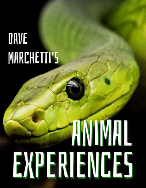 Home | Coventry Public Library